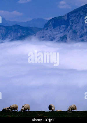 col d aubisque pyrenees atlantique aquitaine france Stock Photo - Alamy