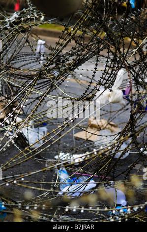 Razor wire barricades in Bangkok Thailand 2008 Stock Photo - Alamy