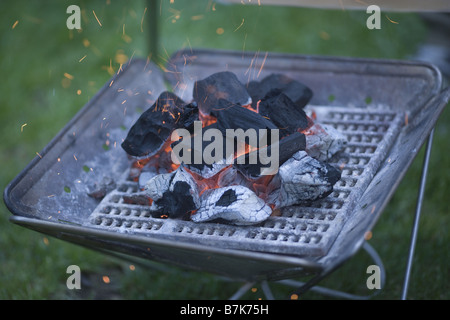 Charcoal and fire Stock Photo - Alamy