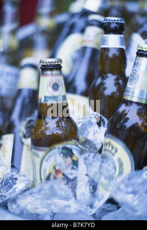 Bottles of beer on ice Stock Photo - Alamy