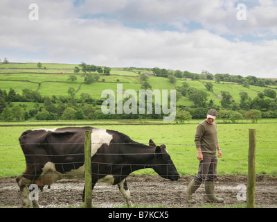 Farmer leading cow Stock Photo - Alamy