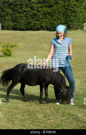 Miniature horse in field Stock Photo - Alamy