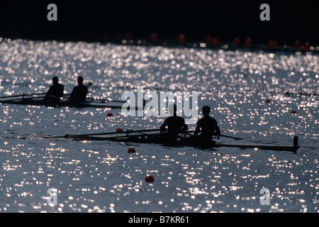 Silhouette of men s pairs rowing team in action Stock Photo - Alamy