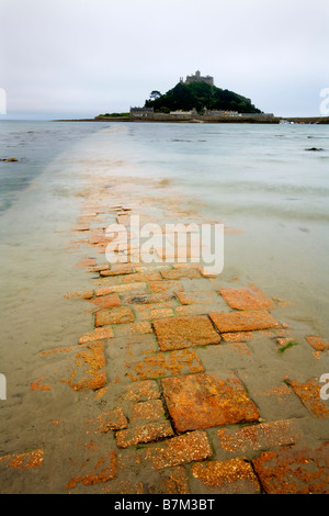 NT Cornwall June 08 Stock Photo - Alamy