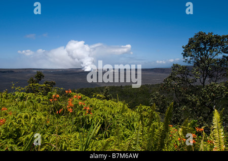 Volcano outgassing in Volcano National Park on the Big Island Hawaii ...