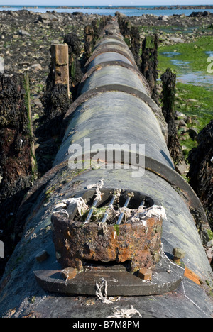 Raw sewage outfall pipe on rocky beach going into the sea, including ...