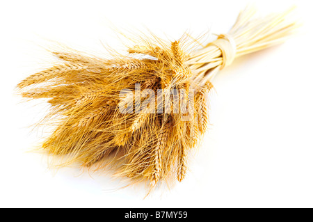 Wheat flour grains and ears isolated on white Stock Photo - Alamy