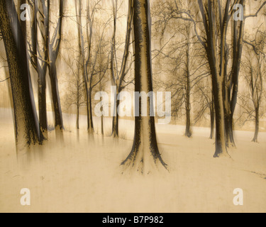 Watercolor Christmas tree with snow-covered branches and colorful ...