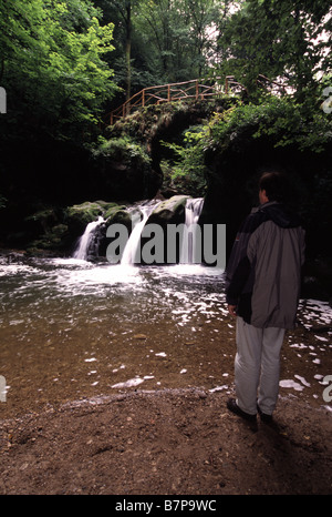 Waterfall, Mullerthal, Luxembourg Stock Photo - Alamy