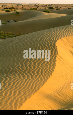 Sam Sand dunes in Thar Desert. Rajasthan, India Stock Photo - Alamy