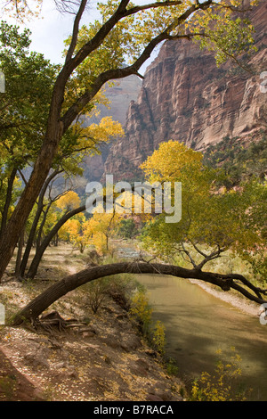 Santa Clara River flows through the Pine Valley Recreation Area, Dixie ...