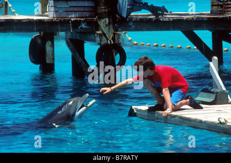 FLIPPER / USA 1996 / Alan Shapiro ELIJAH WOOD als Sandy, in 'Flipper ...