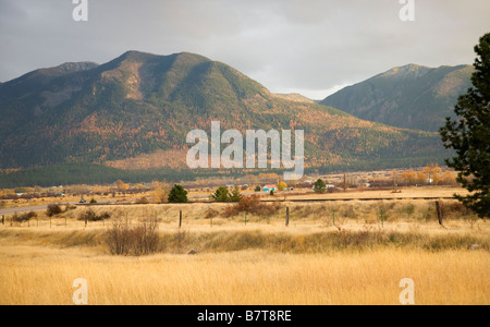 Hills with Yellow Aspens Fall colors and Yellow Grass Barbed Wire Fence ...