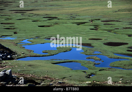 Lake Nino & Marshy Peat Pools known as Pozzines or Pozzi, Parc Naturel ...
