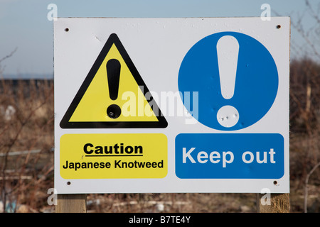 Japanese Knotweed Sign Stock Photo - Alamy