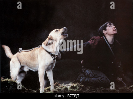 Far from Home: The Adventures of Yellow Dog, aka: Gefährliche Wildnis ...