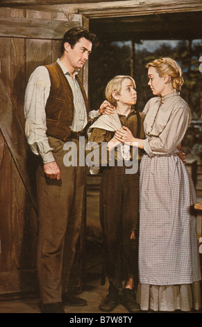 CLAUDE JARMAN JR., JANE WYMAN, GREGORY PECK, THE YEARLING, 1946 Stock ...