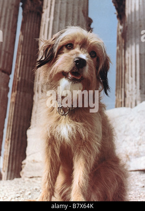 Pour l'amour de benji For the Love of Benji Year: 1977 USA Benji ...