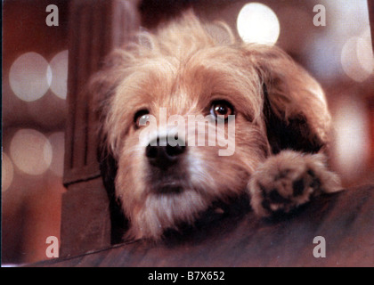 Pour l'amour de benji For the Love of Benji Year: 1977 USA Benji ...