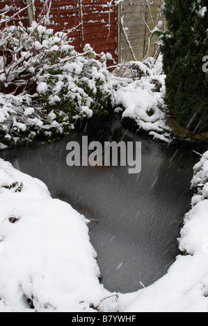 Frozen garden pond Stock Photo - Alamy