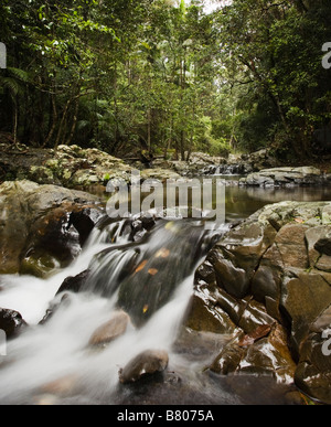 The Rock pools of Currumbin river Springbrook national park Gold Coast ...