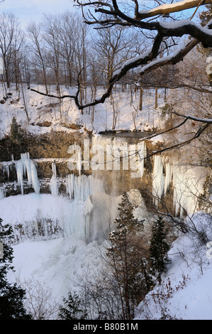 Ice covered trees Niagara Falls. Niagara Falls Ontario Canada Stock ...