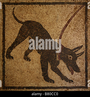 Europe, Italy, Campania, Pompeii. Cave Canum or Beware of Dog mosaic in ...