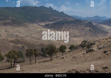 Africa, Ethiopia, Bale Mountains National Park, Web Valley. Ethiopian ...
