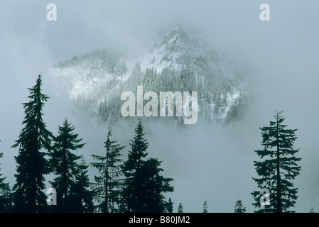 Clearing Snow Storm, Snoqualmie Pass, Cascade Mountains, Washington USA ...