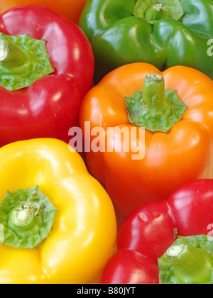 Top view of colorful bell peppers and green spicy peppers on a white ...