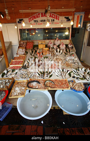 FISH MARKET STALL KUMKAPI ISTANBUL TURKEY KUMKAPI ISTANBUL TURKEY 12 ...