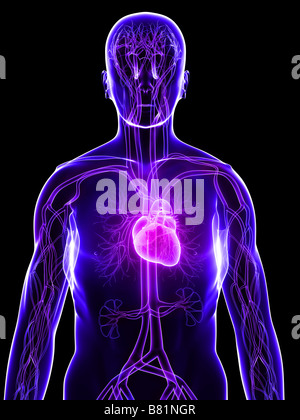 Illustration of an inflamed heart Stock Photo - Alamy