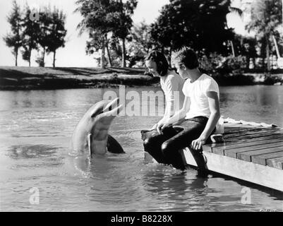 FLIPPER, Flipper, Luke Halpin, 1964-1968 Stock Photo - Alamy