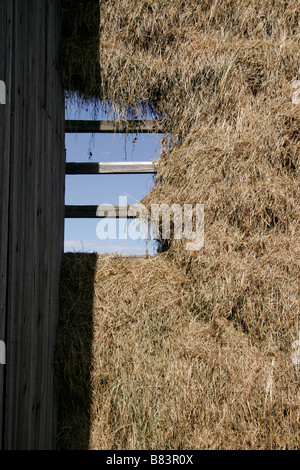 Hay drying rack in Julian Alps near Kranjska Gora, Slovenia Stock Photo ...