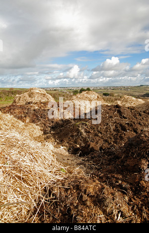 Pile of manure Stock Photo: 38335426 - Alamy