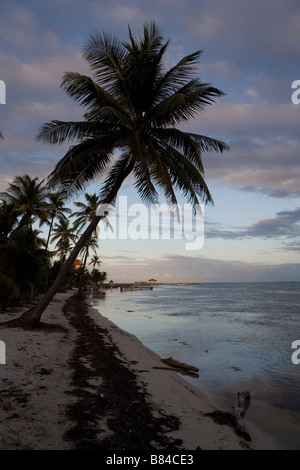 Calm water at sunset, Ambergris Caye; Ambergris Caye, Belize Stock Photo - Alamy
