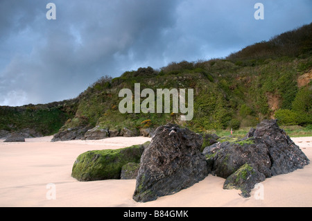 Mill bay beach. East Porltlemouth Devon UK Stock Photo - Alamy