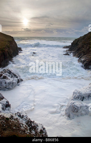 caerthillian cove lizard cornwall Stock Photo - Alamy