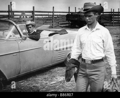 HUD, Paul Newman, Brandon de Wilde, 1963 Stock Photo - Alamy
