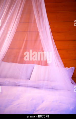 Mesh netting over bed Stock Photo - Alamy
