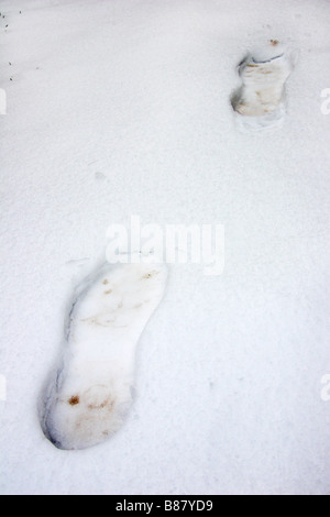 Human footprints in the snow, vertical shot Stock Photo - Alamy