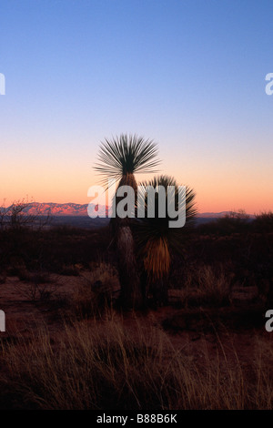 Cochise Stronghold Dragoon Mountains Cochise County AZ / JULY The ...