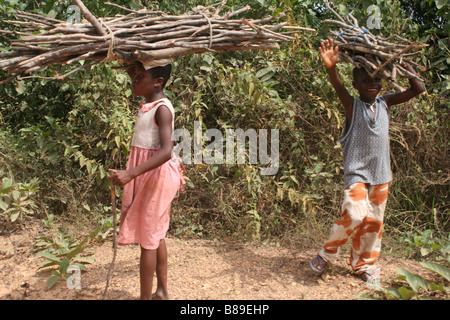 Children collecting fire wood Stock Photo - Alamy