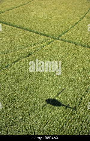 aerial view of corn field Stock Photo - Alamy
