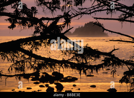 Sunset Olympic National Park, Cape Alava, Washington State Stock Photo ...