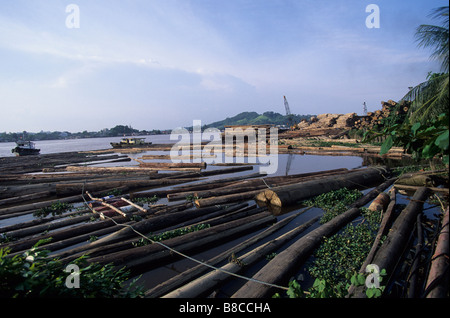 Floating of timber Stock Photo - Alamy