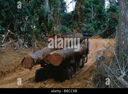 Logging Truck Gabon West Africa Stock Photo - Alamy