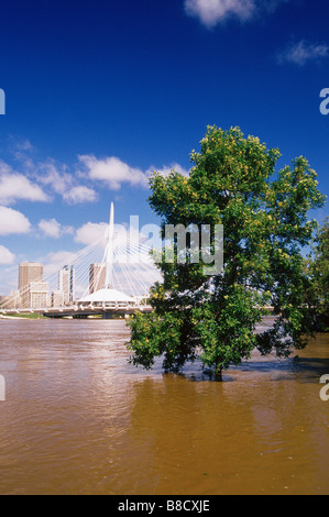 Summer Flooding, Red River, Winnipeg, Manitoba Stock Photo - Alamy