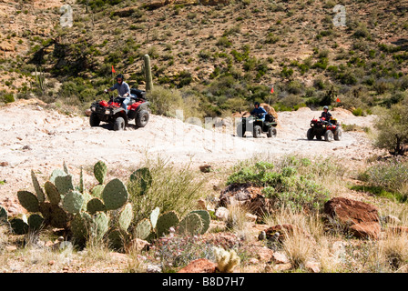 four wheeling on a desert trail Stock Photo - Alamy