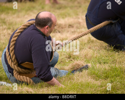 Anchor man in tug war hi res stock photography and images Alamy